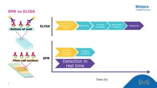 Characterization Of Monoclonal Antibodies And Antibody Drug Conjugates
