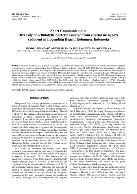Pdf Short Communication Diversity Of Cellulolytic Bacteria Isolated From Coastal Mangrove