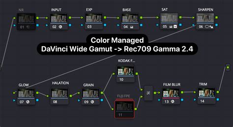 Free Flexible Kodak Fuji Fpe Powergrade For Resolve 17 Davinci