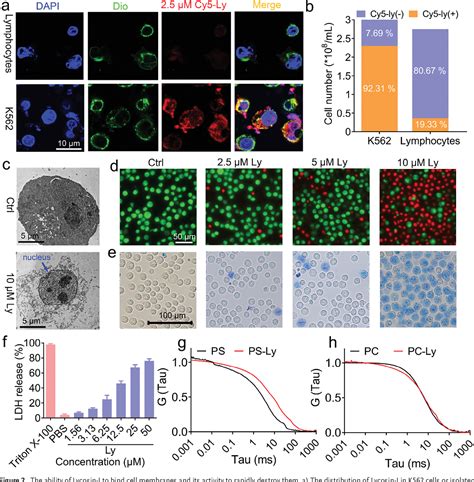 Figure 2 From A Lipid‐sensitive Spider Peptide Toxin Exhibits Selective Anti‐leukemia Efficacy