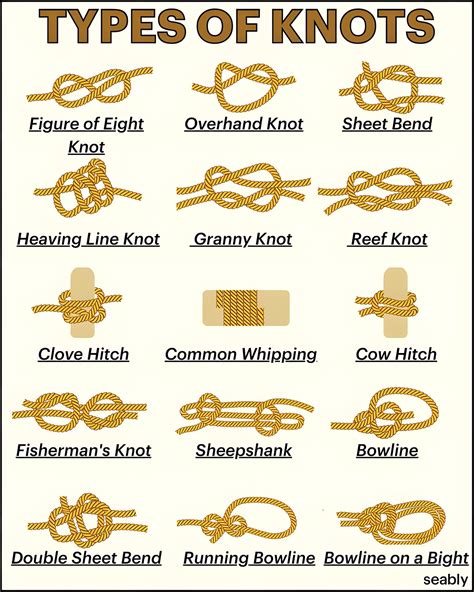 Knotsmaster A Clear And Helpful Chart Showcasing Various Types Of