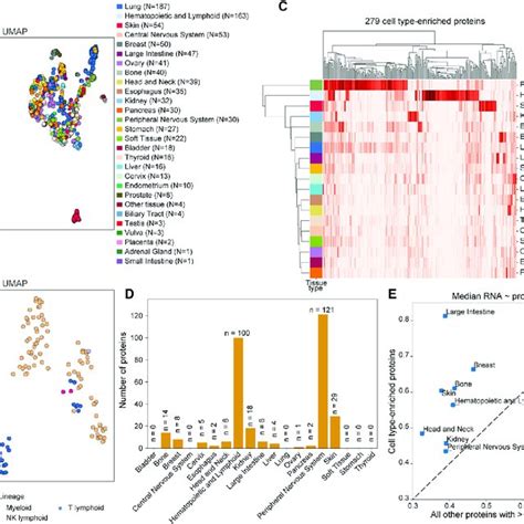 Distinct Proteomic Profiles According To Cell Type A Proteomic Data