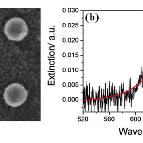 Characterization Of The Gold Nanodisks Array A Sem Image Of