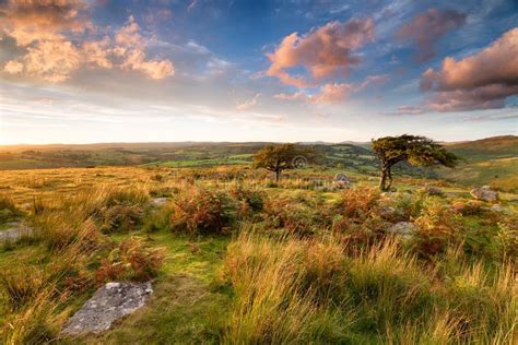 Parque Nacional De Dartmoor Foto De Archivo Imagen De Escénico