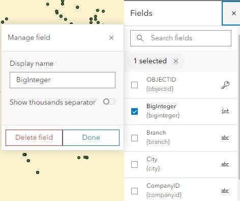 Whats New In Arcgis Enterprise 11 4