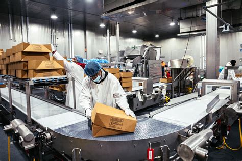 Food Manufacturing And Processing Lineage Europe