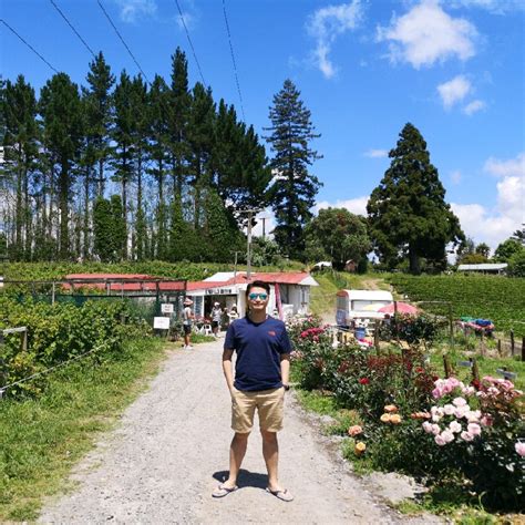 Simon Tsui Email Address And Phone Number Siemens Service Manager Contact Information Rocketreach