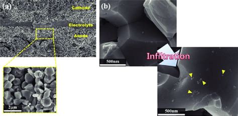 A Cross Sectional Sem Micrographs Of Fabricated Anode Supported Sofc