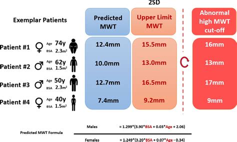 3 Beyond 15mm Towards A New Personalised Ai Measured Definition Of
