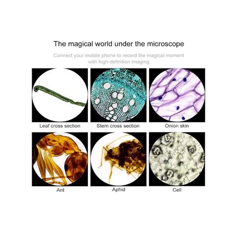 Microscop Biologic Profesional Electronic Albnegru Emagro