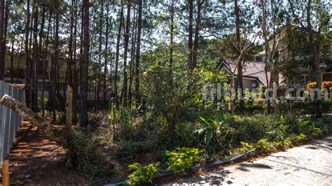 Real Estate Baguio Flat Corner Residential Lot For Sale At Suello Village