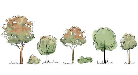 Çfarë Kuptojmë Për Personalitetin E Fëmijës Nga Vizatimi I Trungut Të Pemës Interpretime