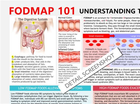 Fodmap 101 Understanding Fodmap Ibs Digital Download Irritable