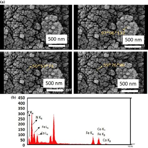 A Fe Sem Images And B Semedx Spectra Of B Download Scientific Diagram
