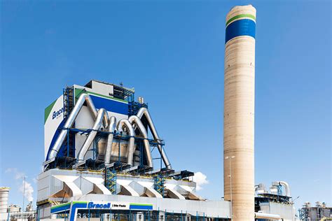 Bracell Lança Marca De Papéis Higiênicos Premium