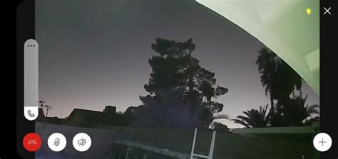 Neighbor Sawed Tree In Half Rneighbors