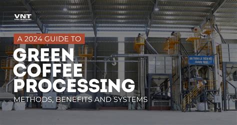 What Is Green Coffee Processing Methods Benefits And Systems