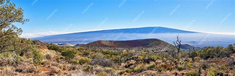 Premium Photo The Worlds Largest Volcano Mauna Loa In Hawaii Big Island Hawaii Usa Mauna Loa