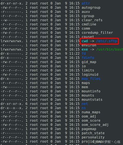 Gpu服务器中挖矿病毒的排查经历与经验 Csdn博客 Gpu服务器中挖矿病毒的排查经历与经验 Csdn博客