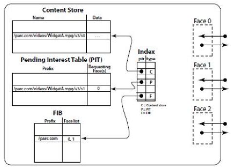 4 Ccn Node Elements 14 Download Scientific Diagram
