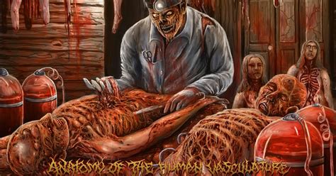 Sensor Motorik Anatomy Of The Human Vasculature