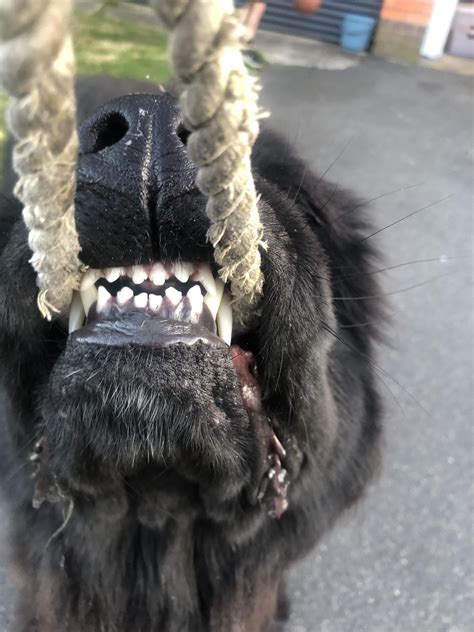 My Beautiful Girl R Toofers