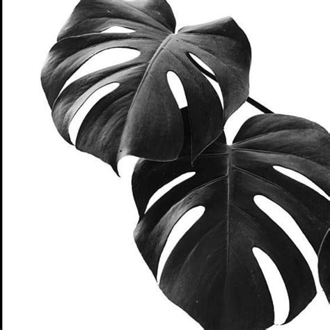 Daniel Miles Youtube