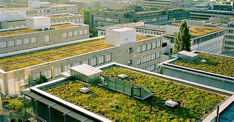 Techos Verdes Innovación Y Naturaleza En La Lucha Contra El Cambio