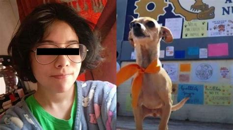 Caso Huellitas Joven Que Mató A Perrito En Puebla Recibirá Atención