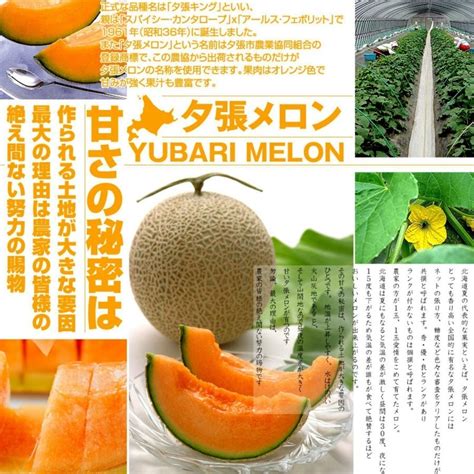 King Melon Japan At Brandon Premo Blog