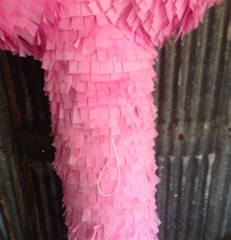 Penis Pinata Etsy