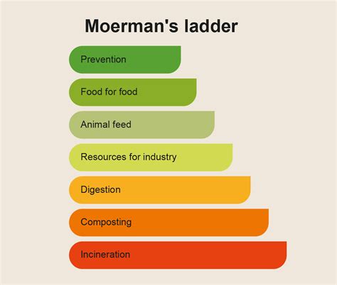 What Is Moermans Ladder