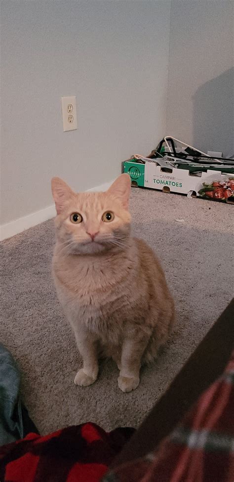 Thought Yall Might Appreciate My Creature Five Years And Still Not A