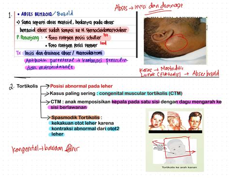 Solution Head And Neck Abnormalities Studypool