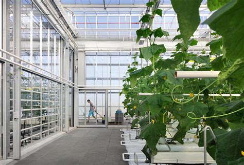 Технологичная теплица Agrotopia в Бельгии | AD Magazine