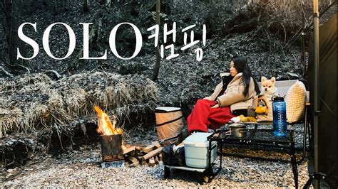 솔로캠핑 반려견동반캠핑 백컨트리280쉘터 새와참새캠핑장 Youtube