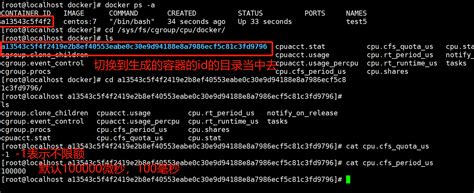 云原生docker cgroups资源控制操作 csdn博客