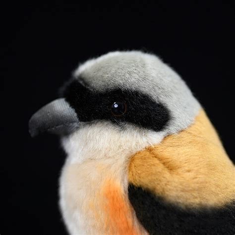 Softdayslab Adorable Long Tailed Shrike Bird Plush Toy Realistic And