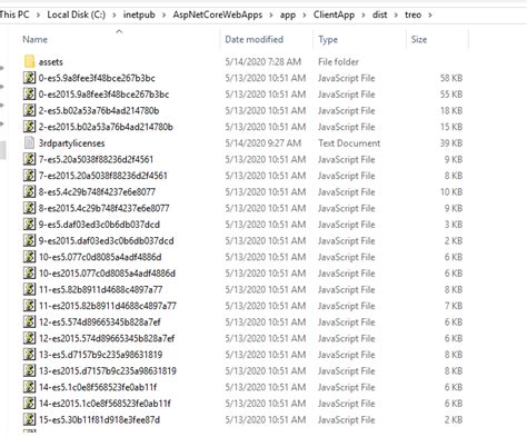 Deploying Angular 9 Net Core Template In Iis Stack Overflow