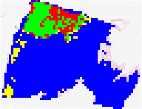 Detailed Analysis Of Image Patch Classification By Cnn Model The Wsi Download Scientific
