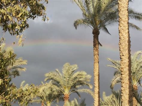 Shinbarat Al Maymunah Dorf Village Facebook