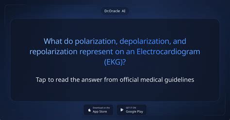 What Do Polarization Depolarization And Repolarization Represent On