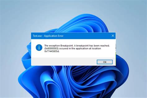 Breakpoint Error On Windows 11 10 Ways To Fix The Exception
