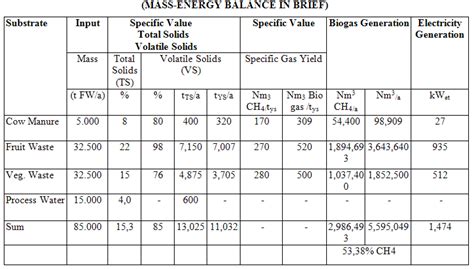 Biopower Generation In Fruit And Vegetable Processing Units Pure And Eco