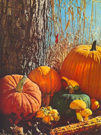 Halloween Ideals 1968 Tumbex