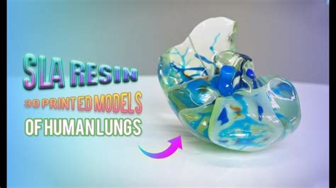 Jsadd 3d On Linkedin How Is The Sla 3d Printing Of Human Lung Models