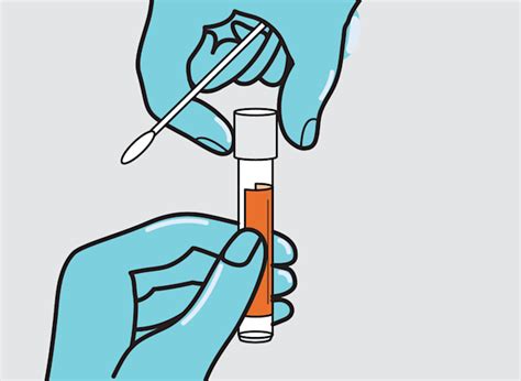 How To Use A Vaginal Swab Kit Home Sti Test Sh24
