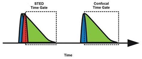 Fluorescence Correlation Spectroscopy — Going Beyond The Diffraction Limit Features Dec 2016
