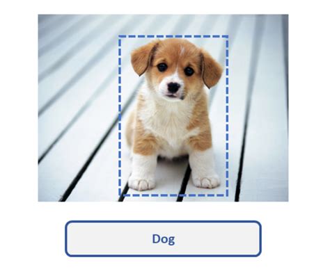 image classification using pytorch and transfer learning medium