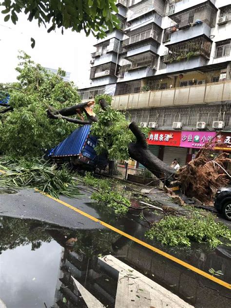 深圳台风山竹过境，深圳十几年第一次见到这么恐怖的台风一片狼藉